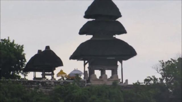 Бали  Обезьянки