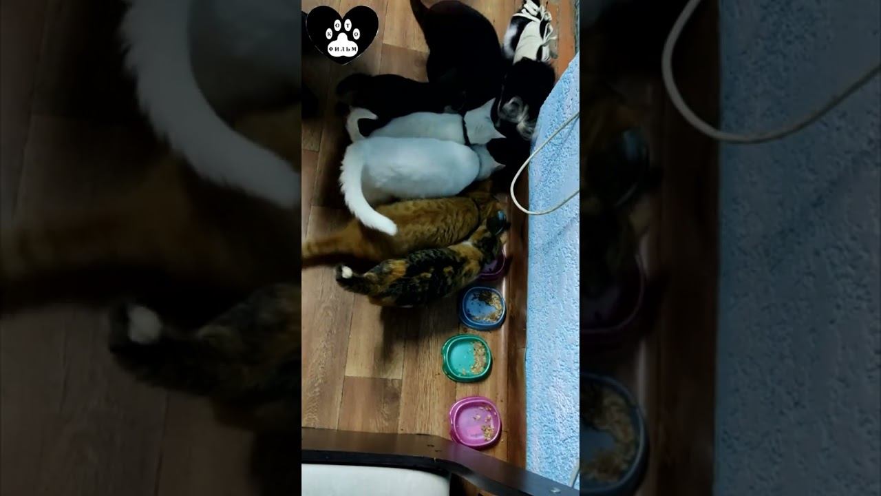 Хороший аппетит