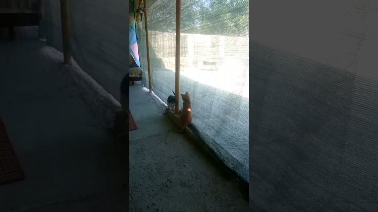 Туда, правее