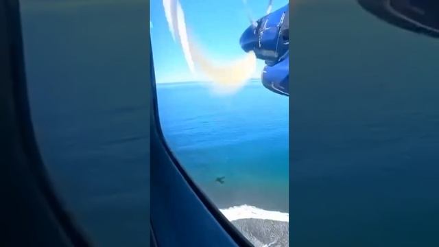 Дорожная сумка прилетела в винт пассажирского L-410