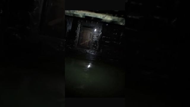 Dj_vee3 немного испугалась)