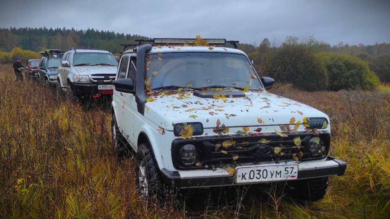 Нивы, Safe и Sportage в осеннем лесу. Оффроуд в живописных местах.