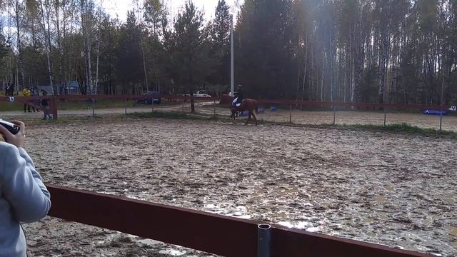 Мой Эльбрусик на соревнованиях 2019 год.