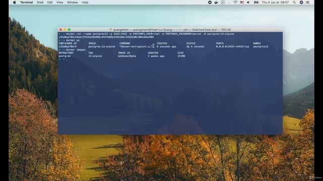 004 Использование Docker + Postgres + TablePlus для создания схемы БД