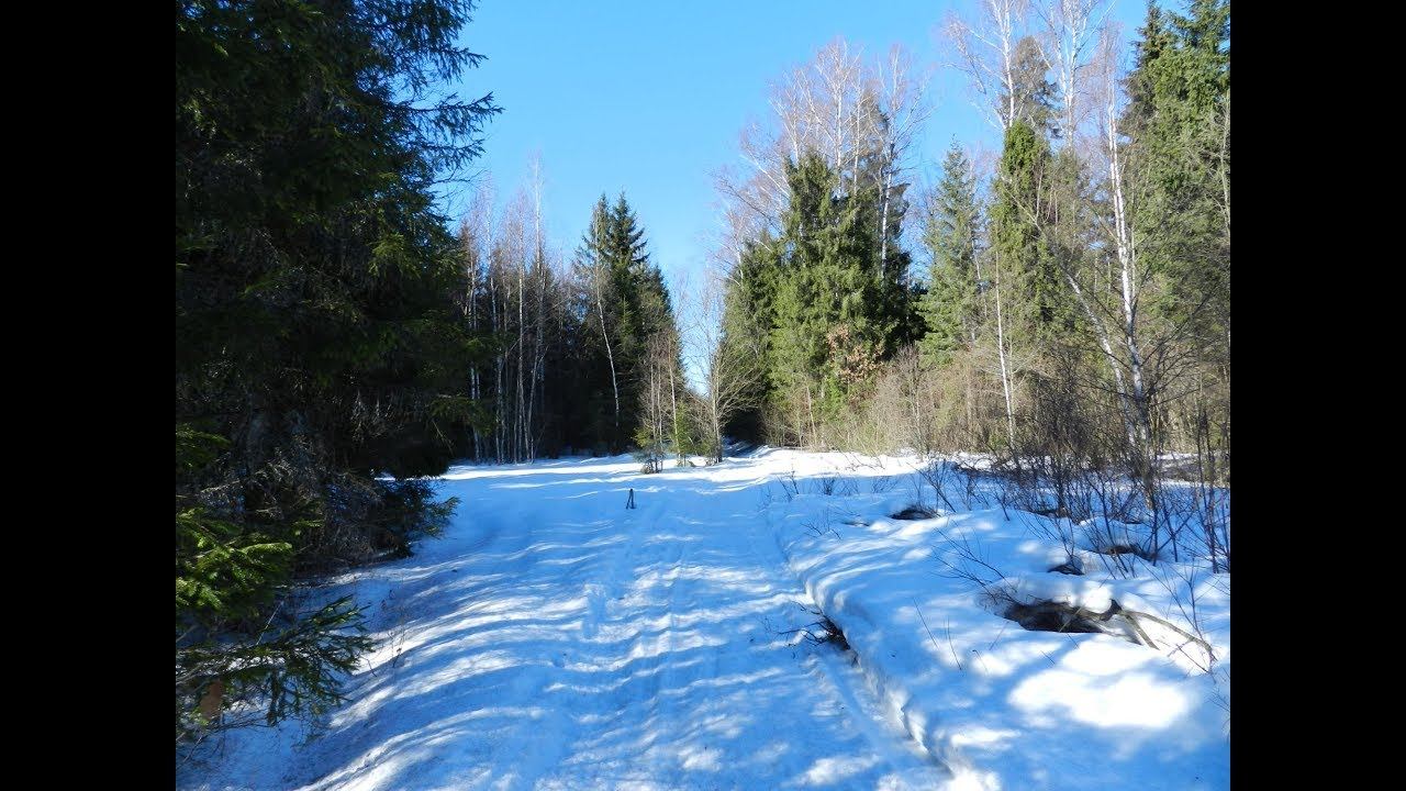 В Абрамцево на лыжах.