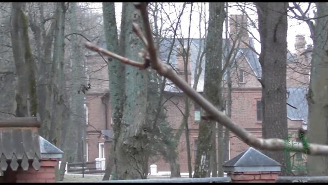 Рождественское поздравление старшего хора воскресной школы, рук. Мяличева Елена Николаевна.