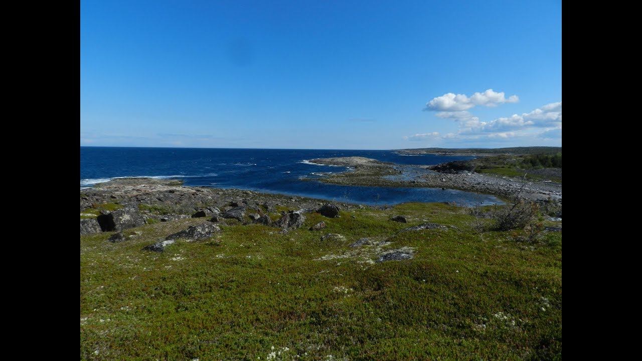 Часть 5 Морское побережье 2019г.