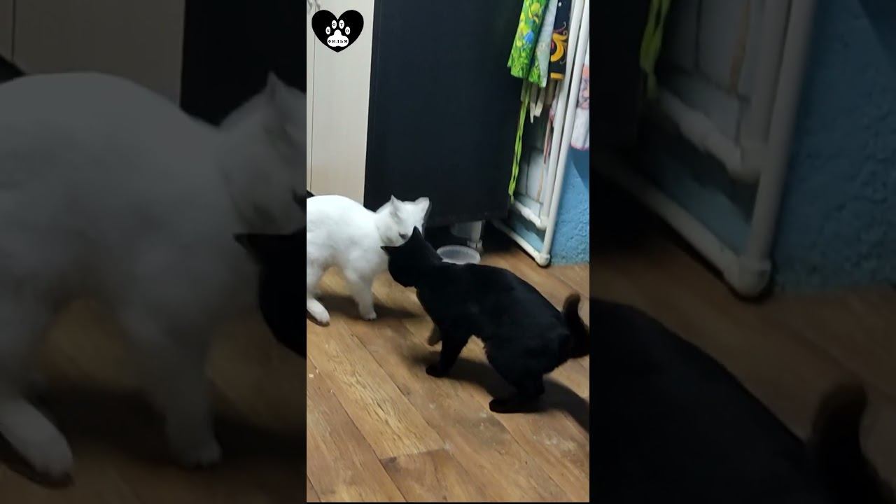 В угол - мама сказала!