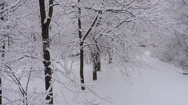 2024-12-15 вид из окна, снегопад.