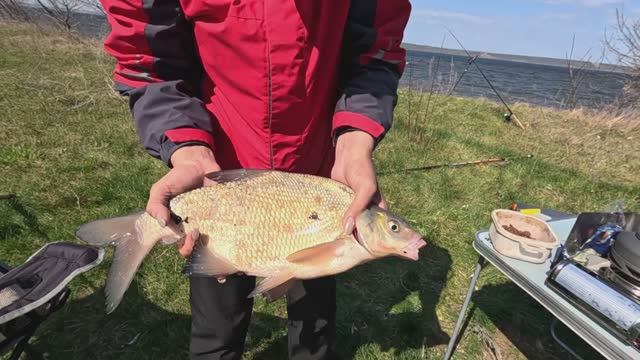 24.04.2024 Волга,мыс Ленинский