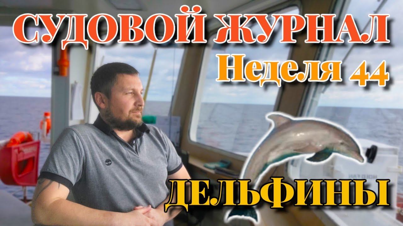 Моряк и ДЕЛЬФИНЫ | Бискайский залив | Судовой Журнал | 6 ноября 2021