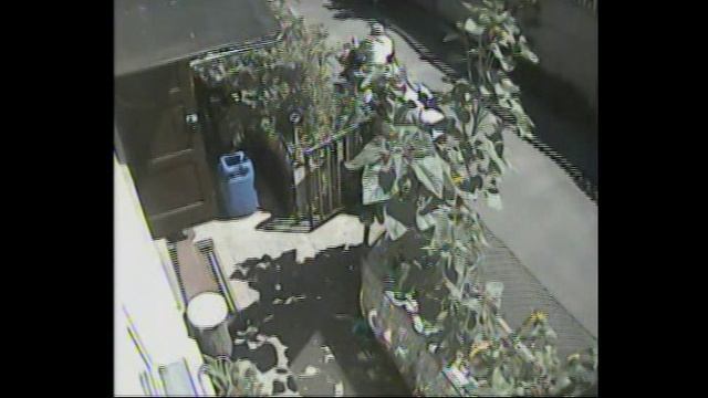 2018 Июль Мама я