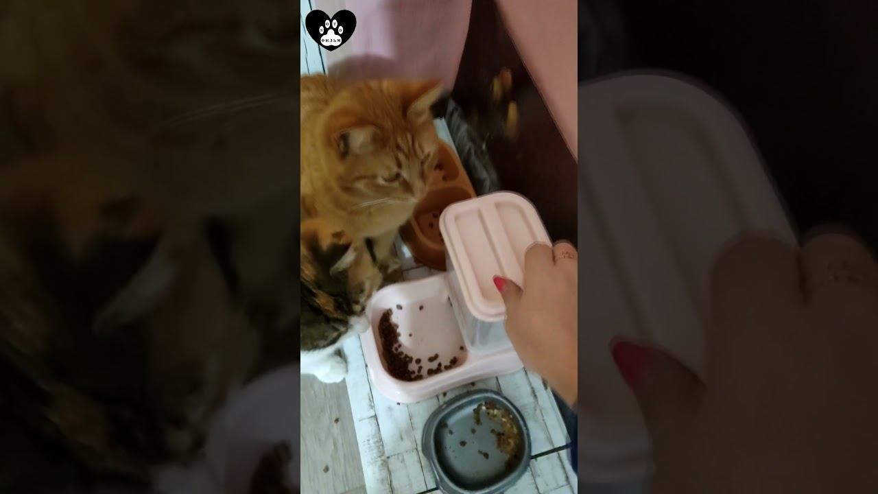 Ничего нет, досыпай, ждём. Убедилась, увидела?