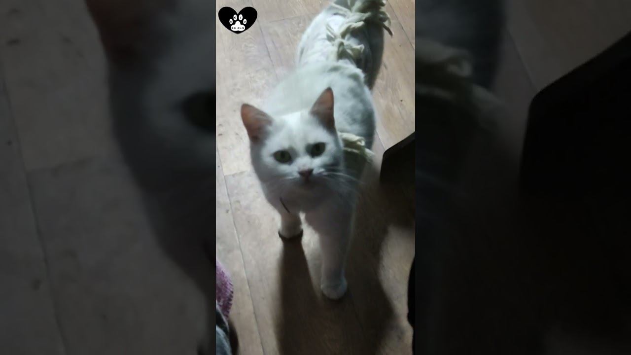 У меня всё хорошо!