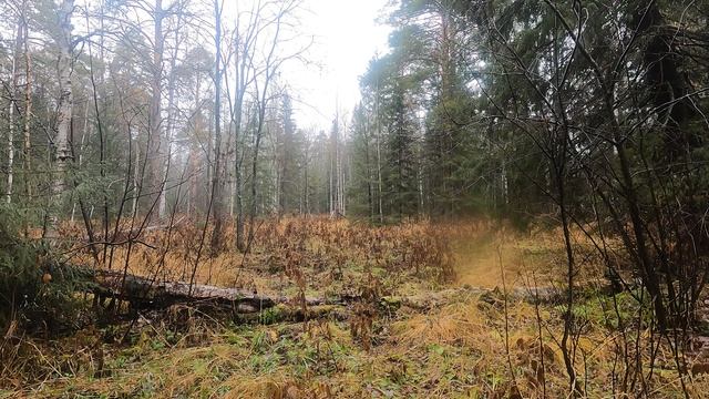 В ТАКИЕ МОМЕНТЫ АДРЕНАЛИН ПРОСТО ЗАШКАЛИВАЕТ...