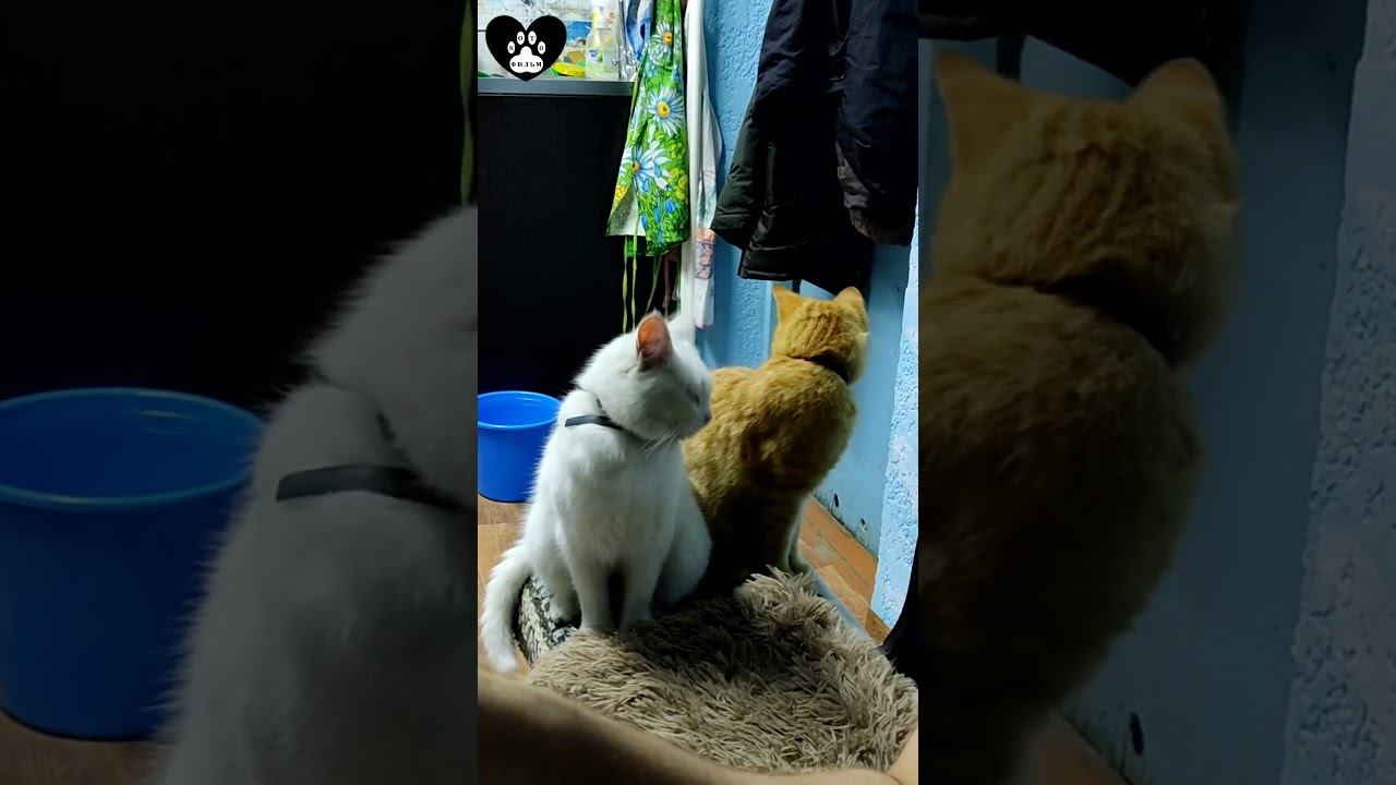 Всё, мы обиделись