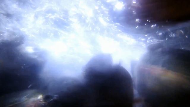 Кормление форели на ферме