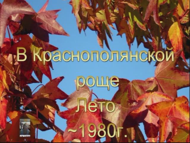 Краснополянская Роща 1980г