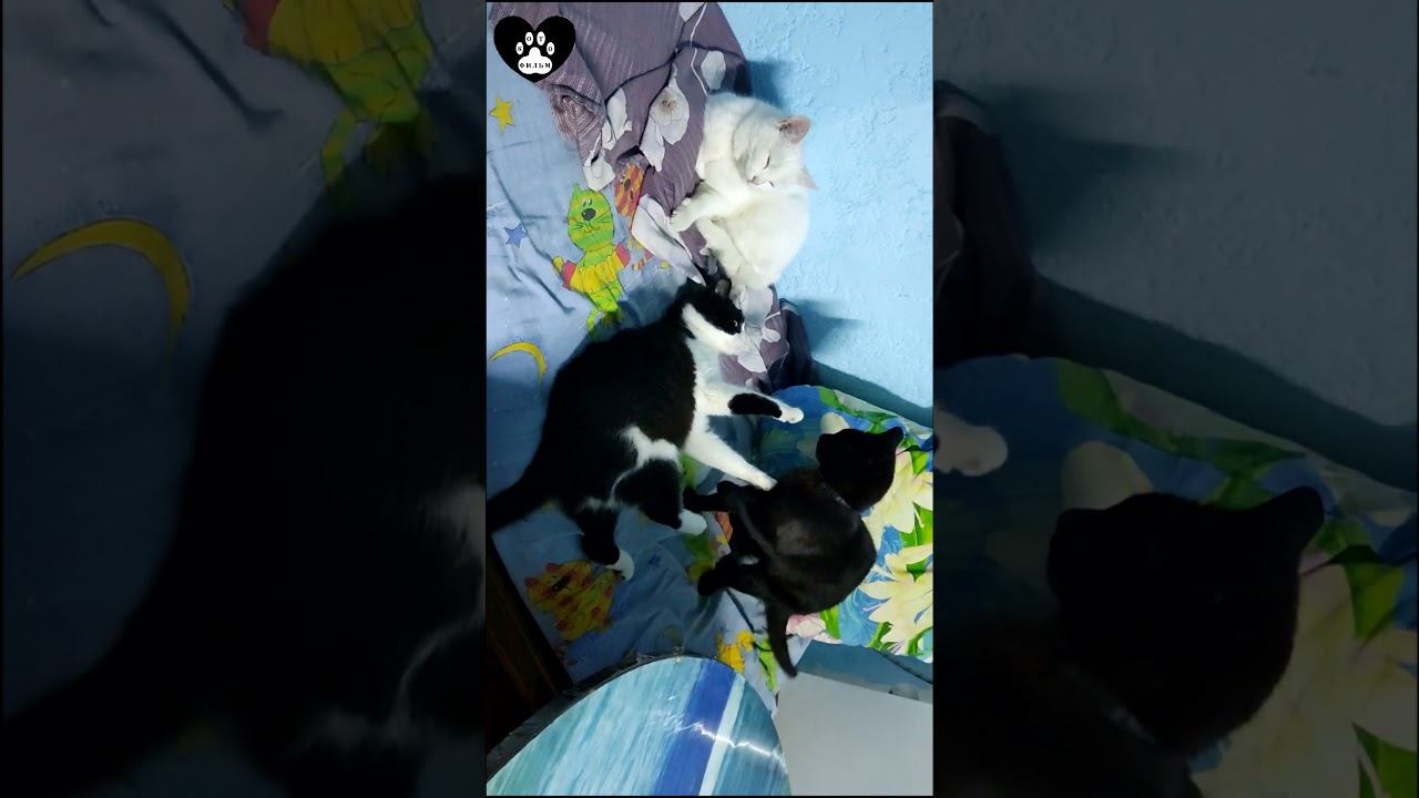 Я тебя заляпал