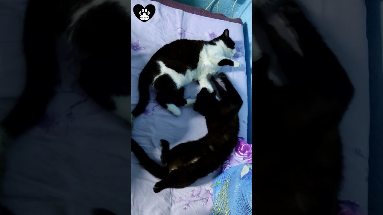 Ты самый борзый, что-ли?!