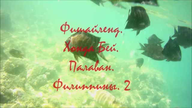 Фишайленд  Филиппины  Снорклинг  2
