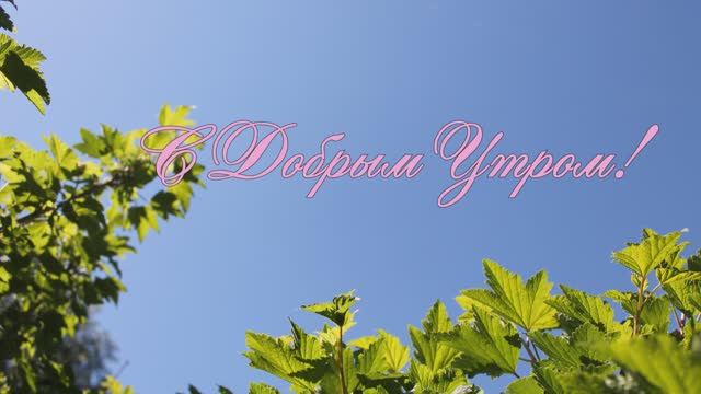 С Добрым Утром!