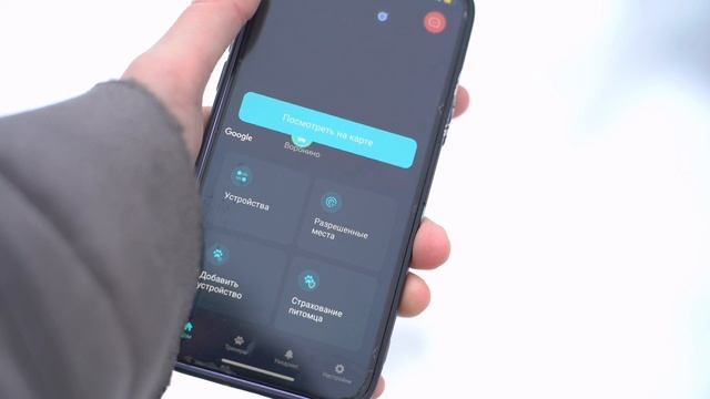 Обзор GPS трекера для собак и кошек Petsee Dogs и приложения Petsee
