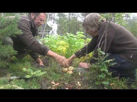 Белое море 2023 часть четвёртая