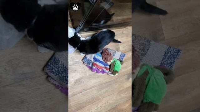 Поохраняю обезъянкин сон