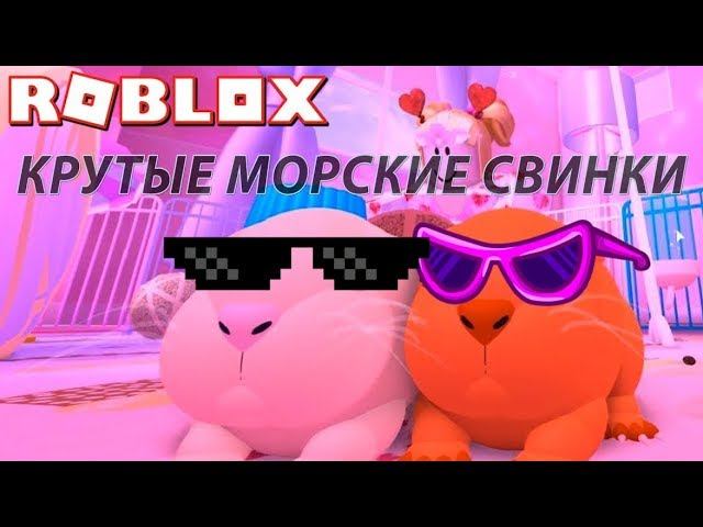 ЖИЗНЬ МОРСКОЙ СВИНКИ В РОБЛОКС. ПРЫГАЕМ С ВЫСОТЫ И ЗАВОДИМ ДРУЗЕЙ
