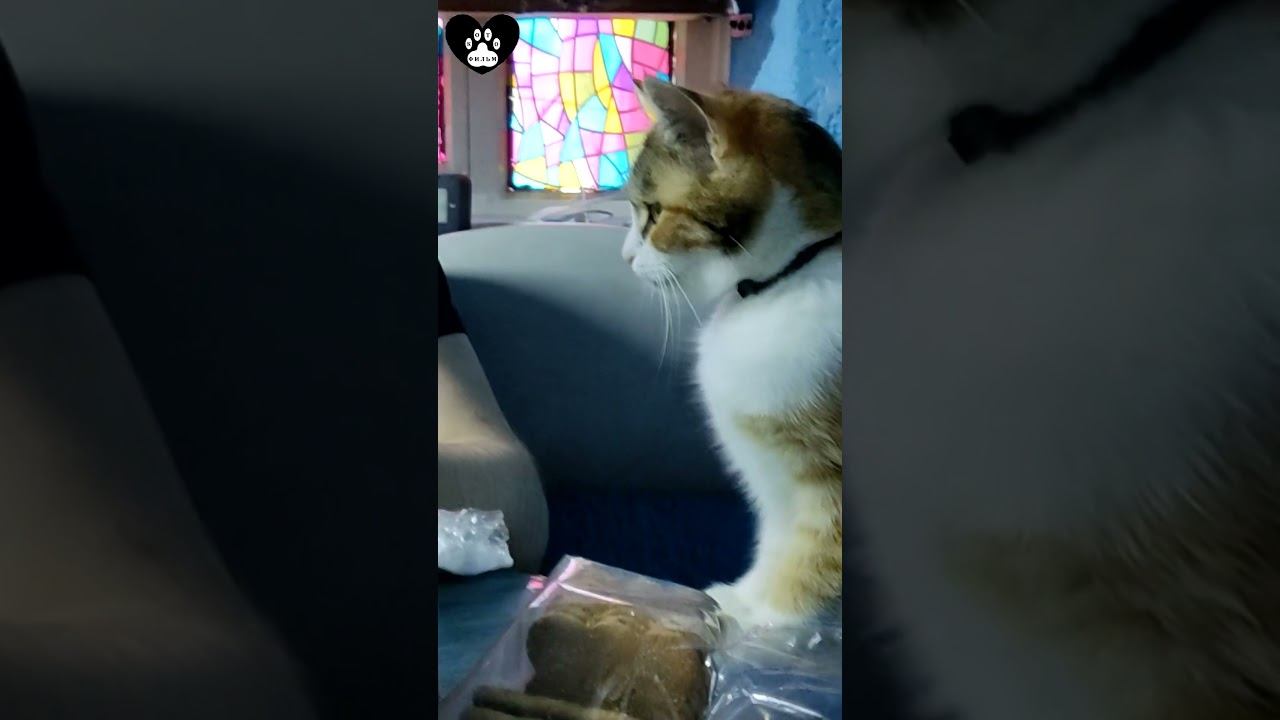 Я тут, вы меня видите?!