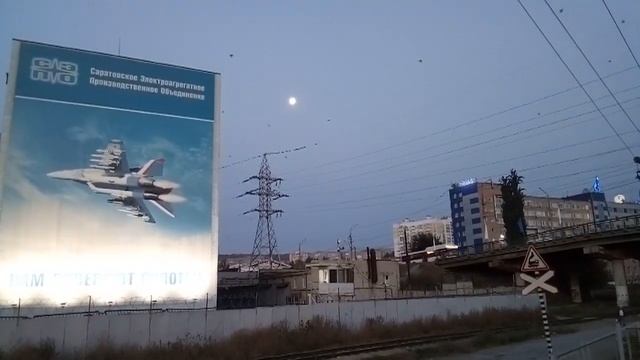 Галки утренний перелёт на кормежку