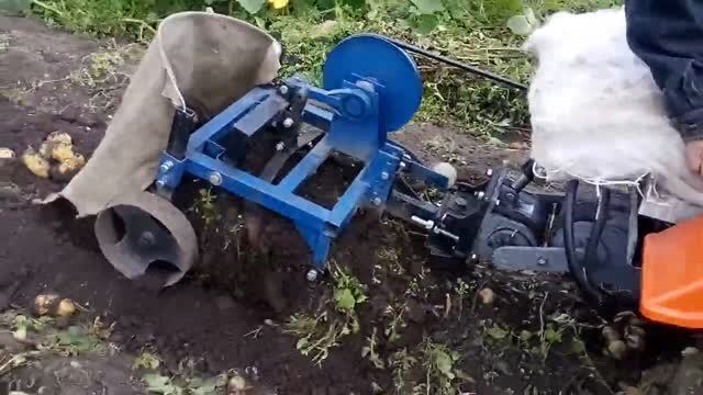 Вибрационная картофелекопалка. Копаю  самодельным минитрактором