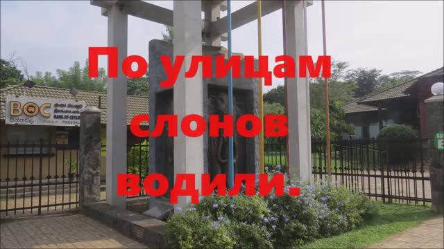 По улицам слонов водили