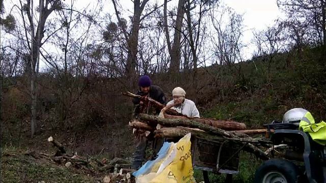 2018 Ноябрь Мама я