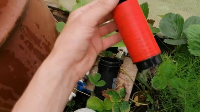 Автоматизированная теплица своими руками