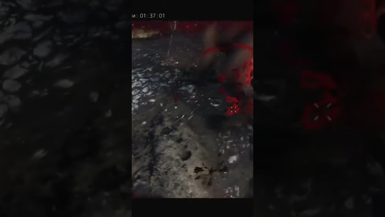 Приключения Dj_vee3 в открытом мире) #metroexodus #рекомендации #стрим #видеоигры #shorts