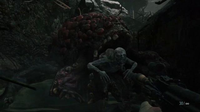 Resident Evil 8: Village - Драгун (Боссы, мини-боссы)