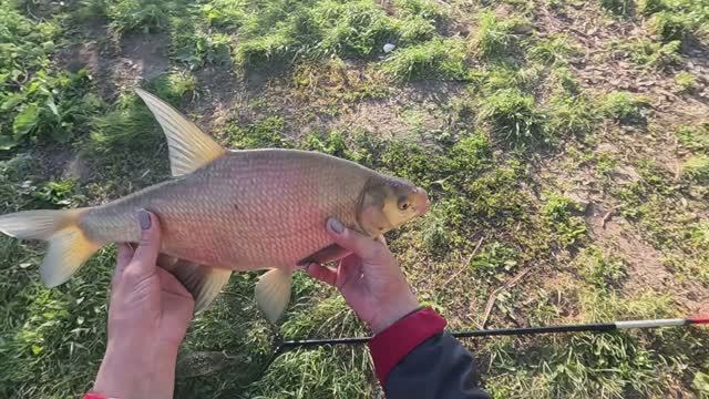 8-9 .05.2024 мыс Ленинский