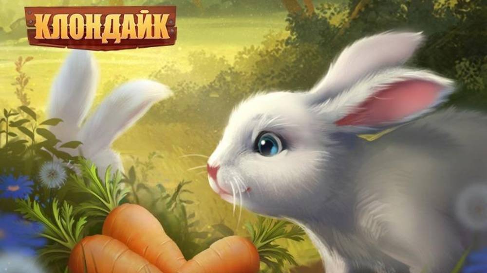 Как озолотить 400 кроликов за 10,5 часов.  Клондайк