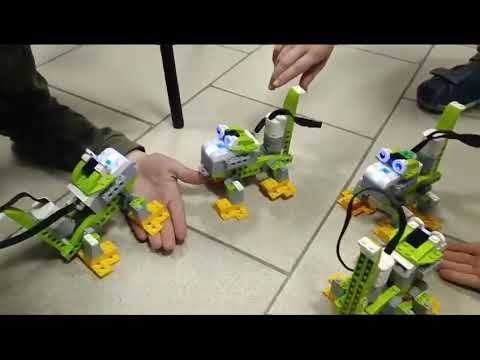 Лягушата в школе "РосРобот". #робототехникадлядетей #lego #robot