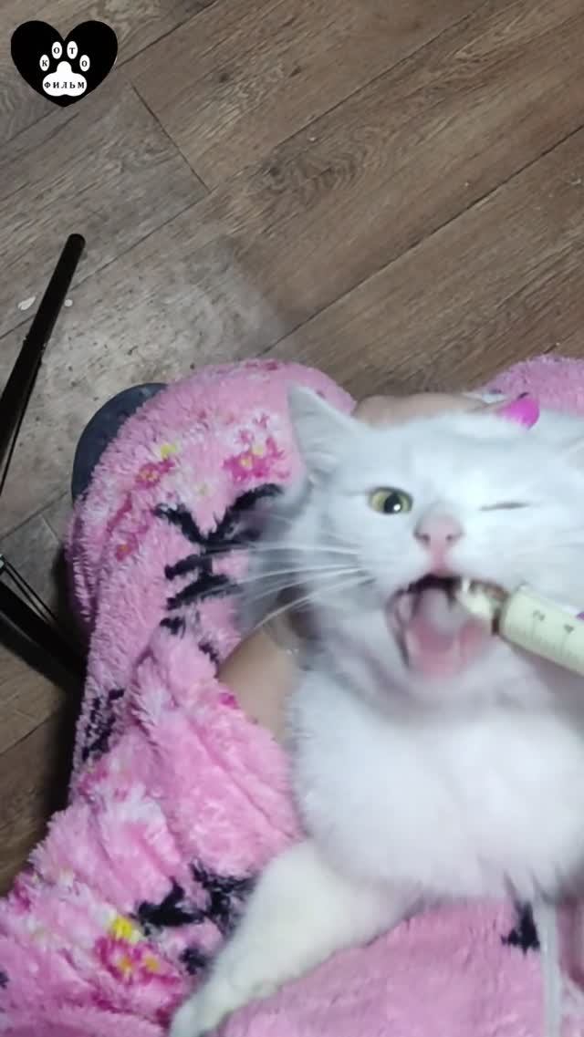 Глистогонный гель