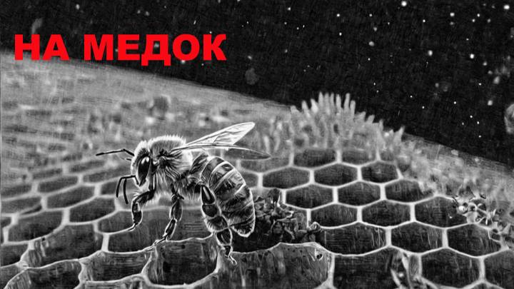 Глава "На медок" (2) из книги "Тридевять земель"