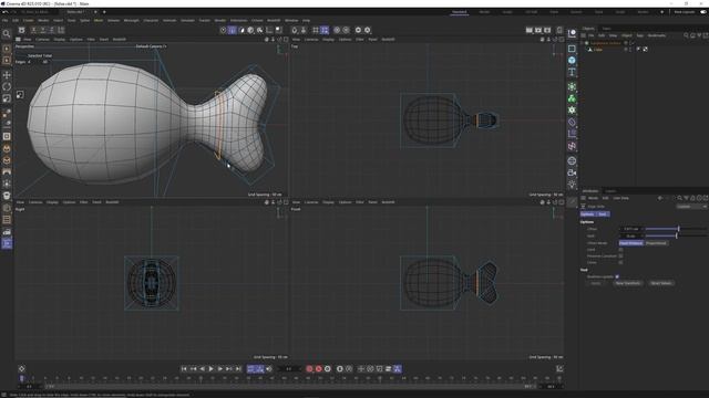 12 Getting Started in Cinema 4D_ 12 Introduction to Organic Modeling Techniques