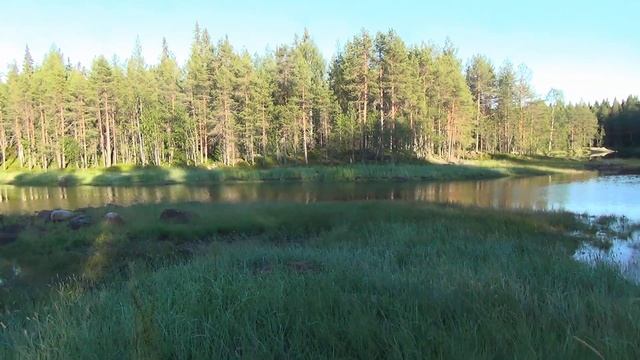 Белое море 2021 часть 3 (будни дачников)