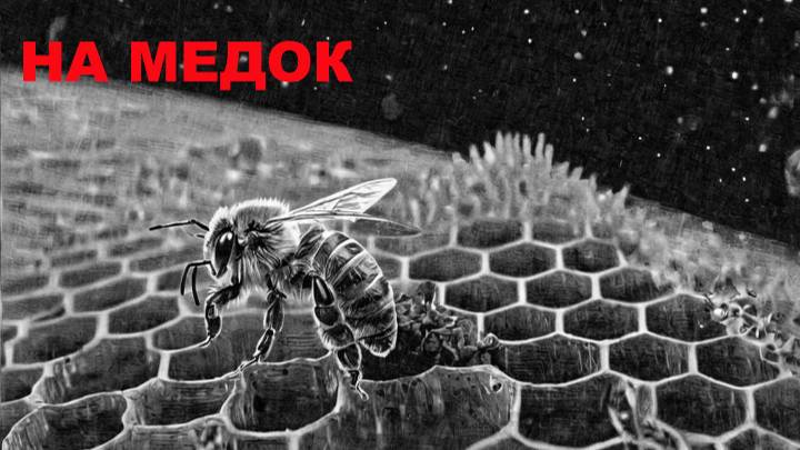 Глава "На медок" (1)  из книги "Тридевять земель"