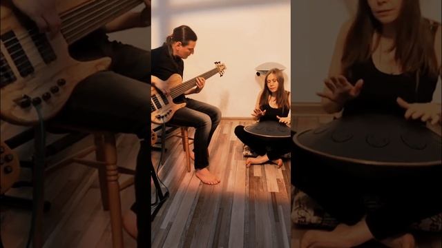 Импровизация rav G pygmy + fretless bass #basgitar #ravvast