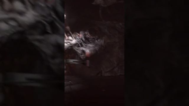 Ада Вонг против Клэр в Resident Evil 6!