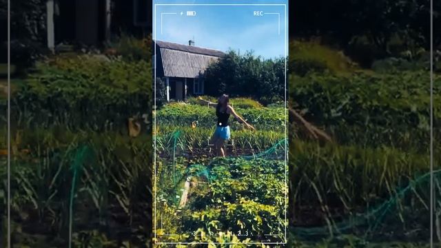 Nirvana - Smells Like Teen Spirit - tongue drum music cover #карелия #нирвана #глюкофон #кавер