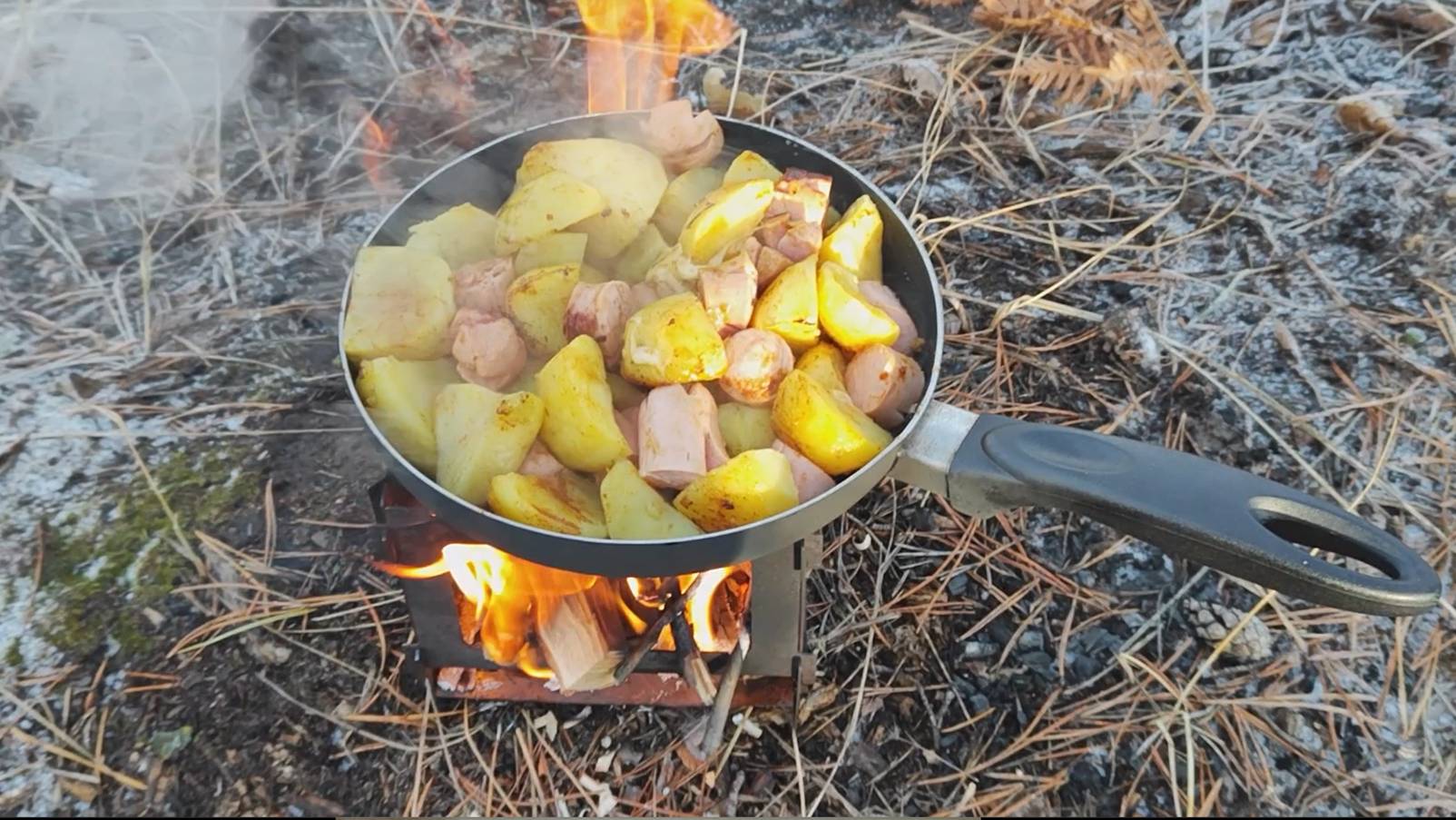 Пошли обедать в лес...